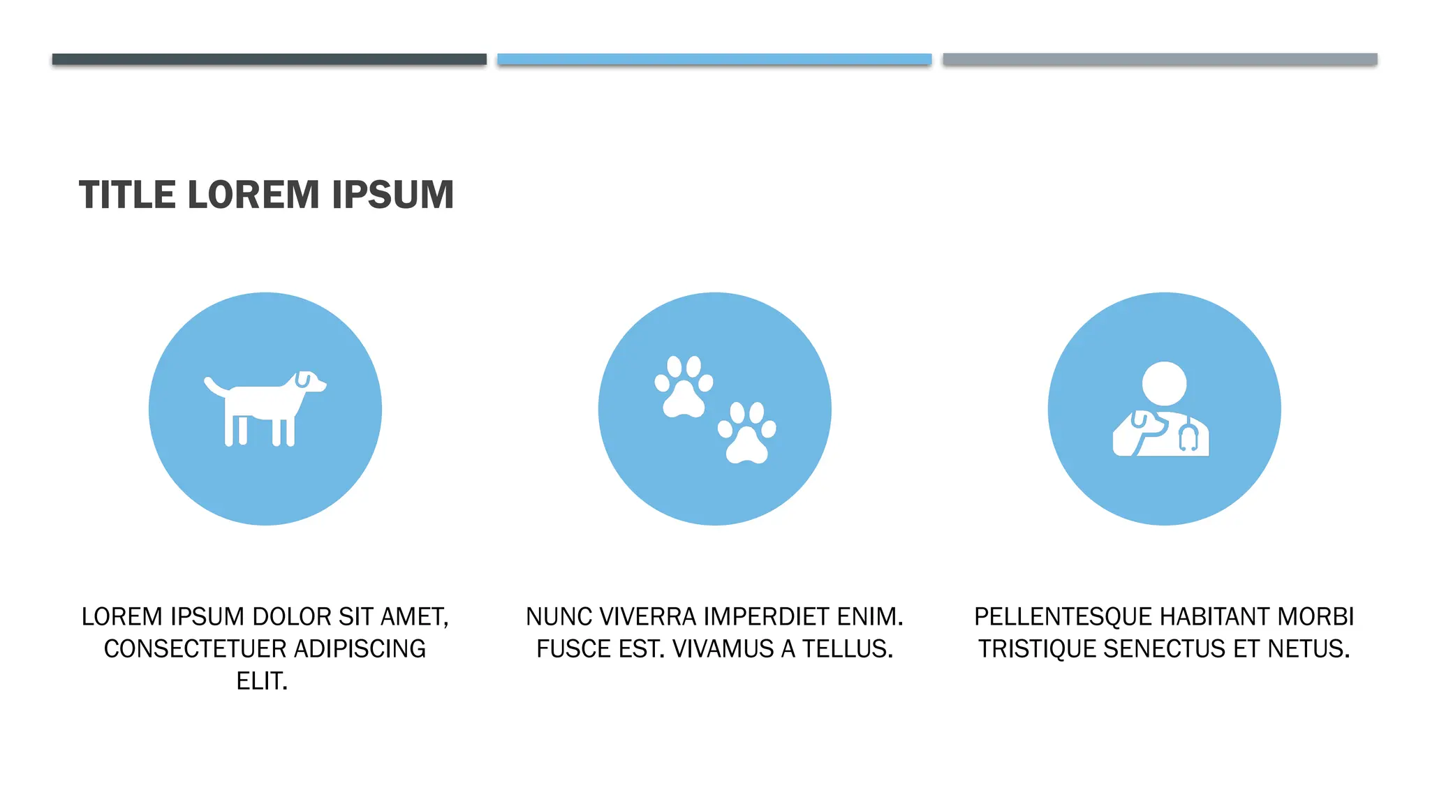 pet dog layout in grey black saturated ppt | PPT