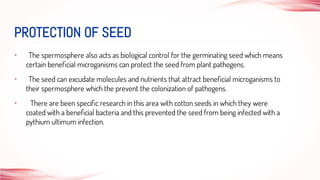 SPERMOSPHERE SOIL AND AGRICULTURAL MICROBIOLOGY | PDF