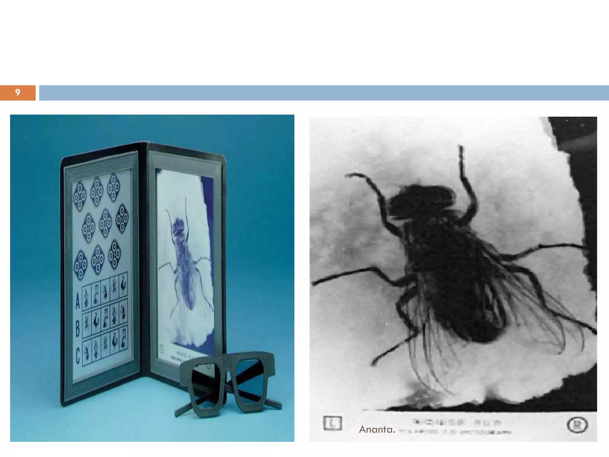 Titmus fly test -polaroid vectograph.. | PDF