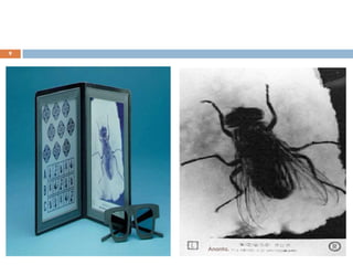 Titmus fly test -polaroid vectograph.. | PDF