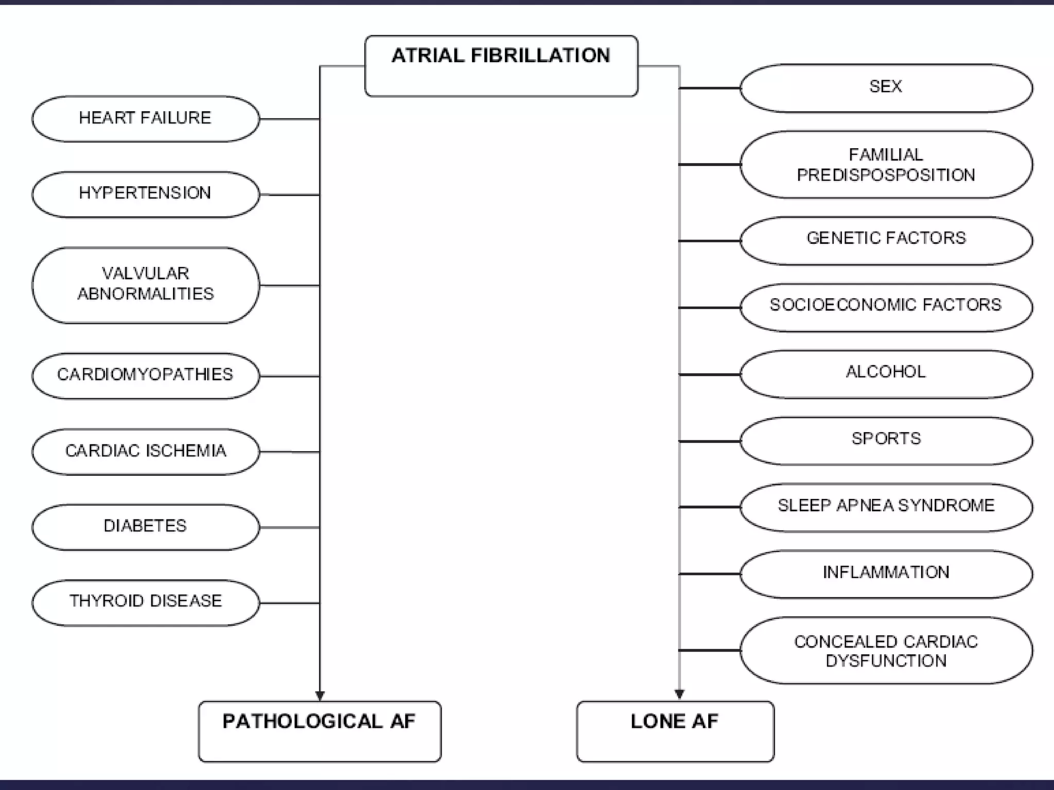 Lone Atrial Fibrillation | PPT