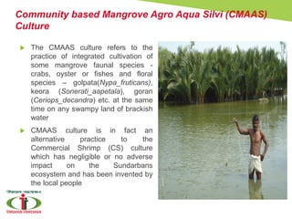 Innovations and Actions on Adaptation to Climate Change and ...