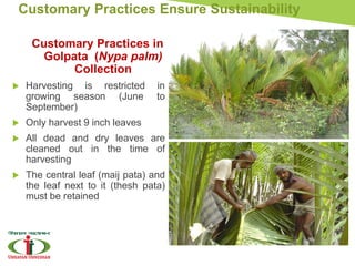 Innovations and Actions on Adaptation to Climate Change and ...