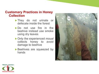 Innovations and Actions on Adaptation to Climate Change and ...