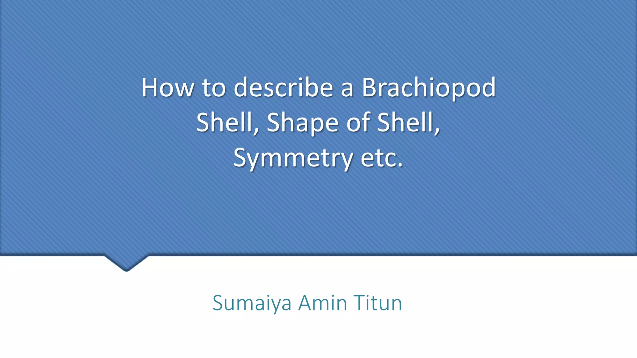 Brachiopod Shell, Symmetry and Shell Shape | PPTX