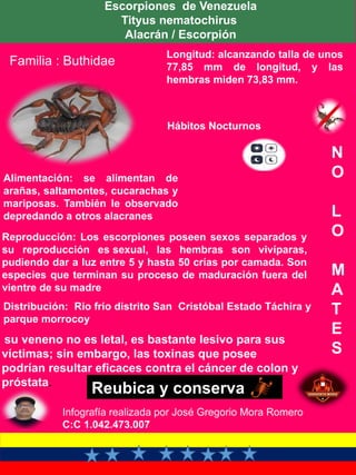 infografia sobre escorpiones Tityus discrepan.pptx