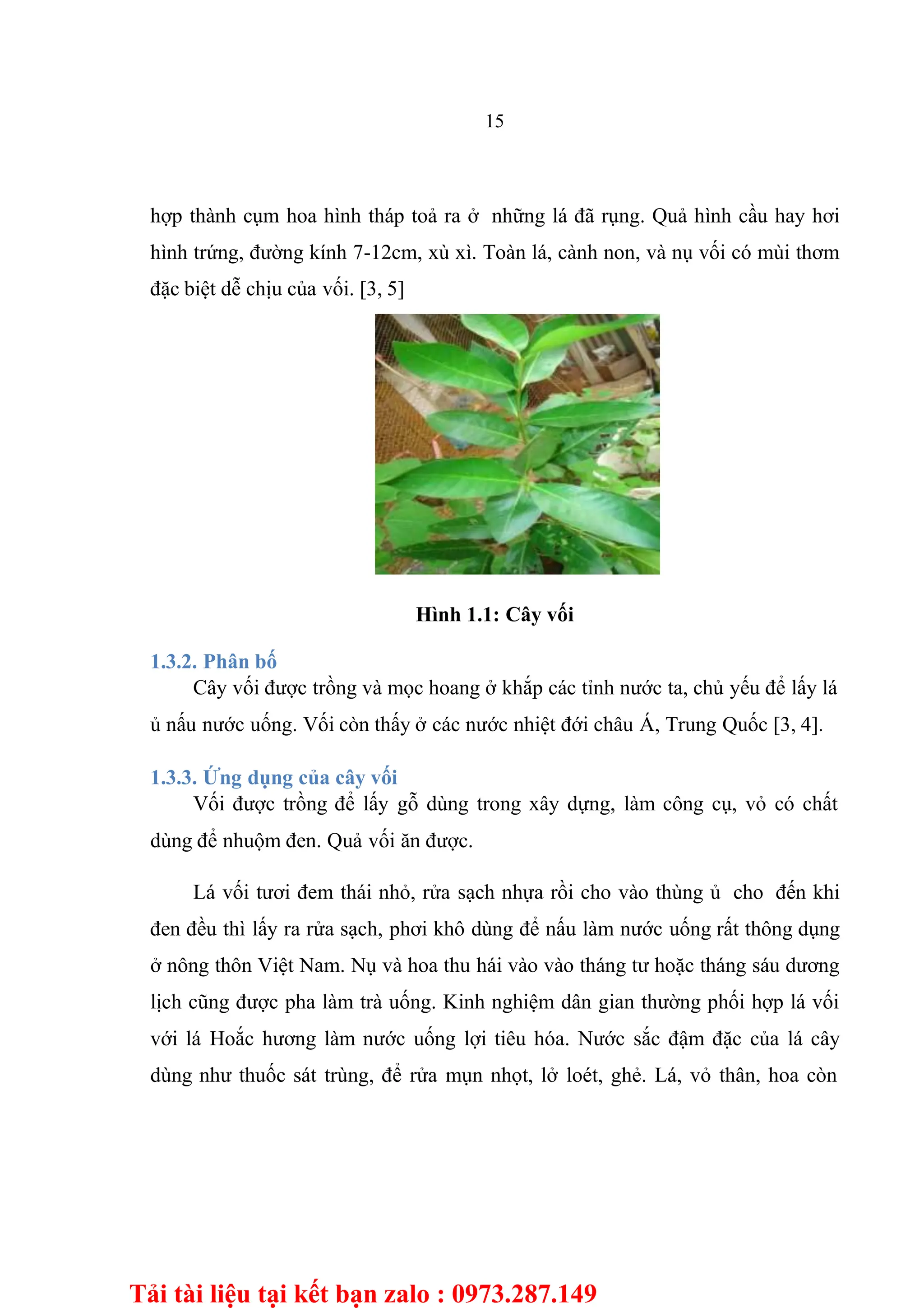 Tối ưu hóa điều kiện chiết polyphenol từ lá vối (cleistocalyxoperculatus) và đánh giá hoạt tính ...