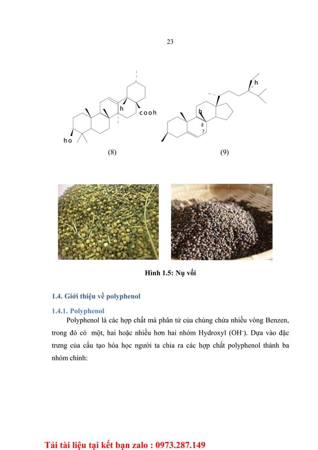 Tối ưu hóa điều kiện chiết polyphenol từ lá vối (cleistocalyxoperculatus) và đánh giá hoạt tính ...