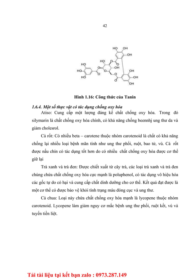 Tối ưu hóa điều kiện chiết polyphenol từ lá vối (cleistocalyxoperculatus) và đánh giá hoạt tính ...