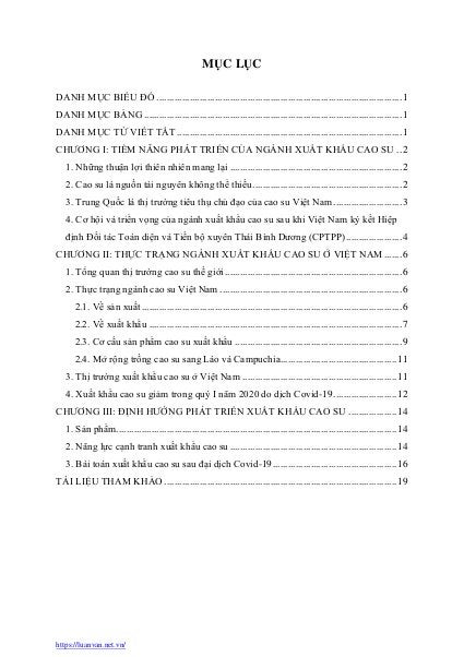 Tiểu luận Phân tích thực trạng của ngành xuất khẩu cao su tại Việt Nam.pdf