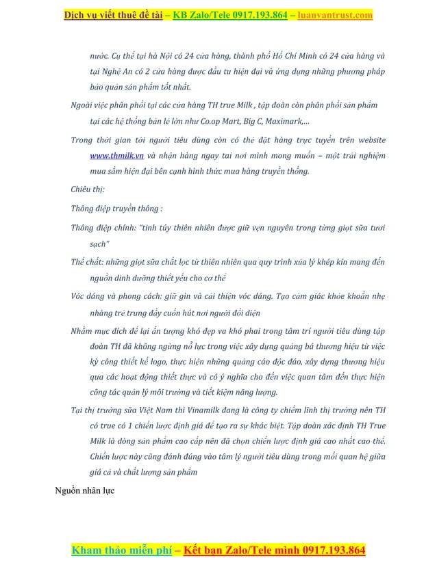 Tiểu luận về công ty TH true milk, 9 điểm.doc