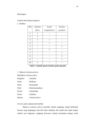 KEANEKARAGAMAN BENTHOS DAN NEKTON PADA HUTAN MANGROVE DI DESA PULAU SEMBILAN KECAMATAN PANGKALAN ...