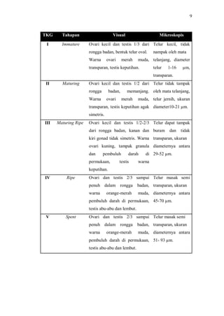 PENGAMATAN HISTOLOGI GONAD IKAN BILIH (Mystacoleucus padangensis) | PDF