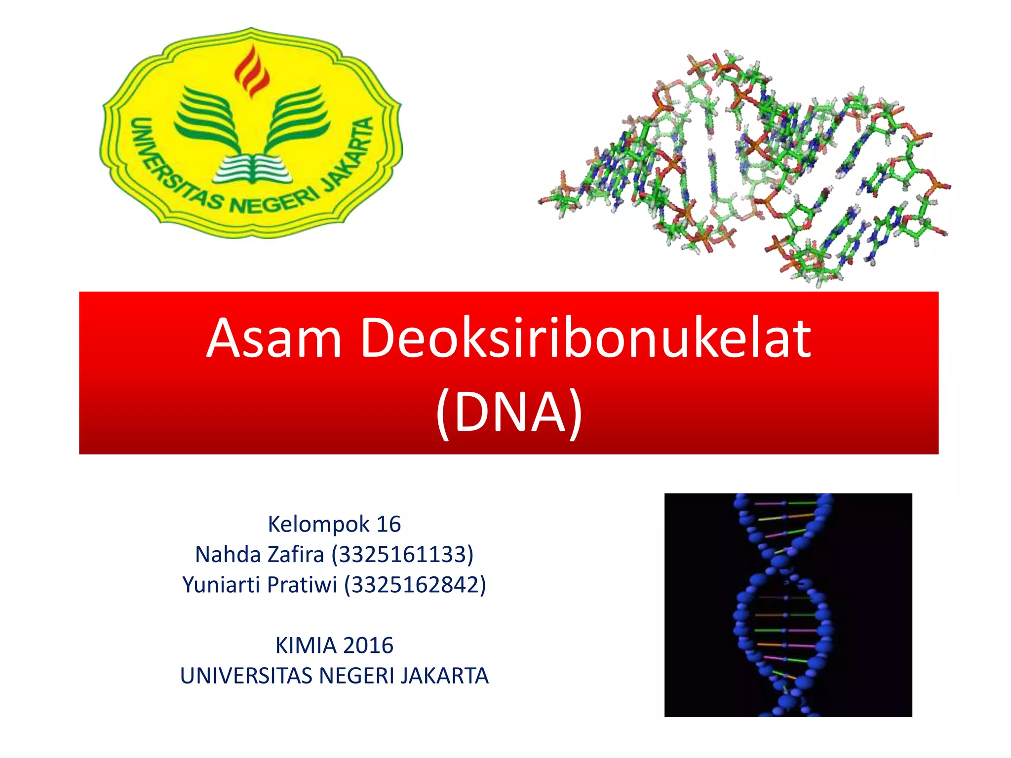 DNA (Asam Deoksiribonukleat) - Biomolekul | PPTX