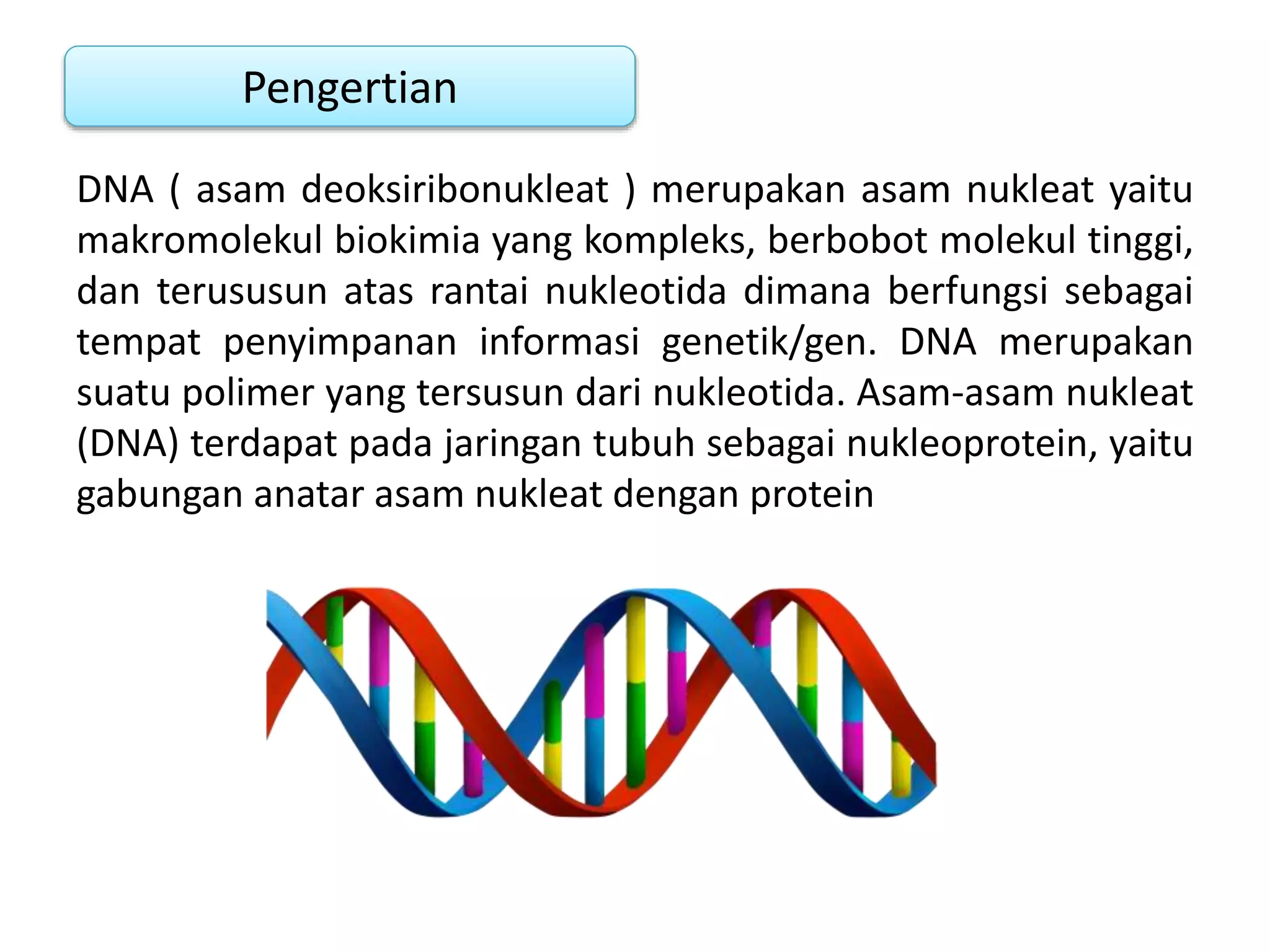 Dna Asam Deoksiribonukleat Biomolekul Ppt