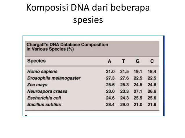DNA (Asam Deoksiribonukleat) - Biomolekul | PPTX