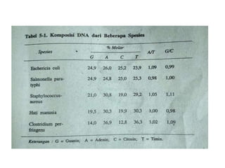 DNA (Asam Deoksiribonukleat) - Biomolekul | PPTX