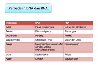 DNA (Asam Deoksiribonukleat) - Biomolekul | PPTX