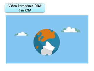 DNA (Asam Deoksiribonukleat) - Biomolekul | PPTX