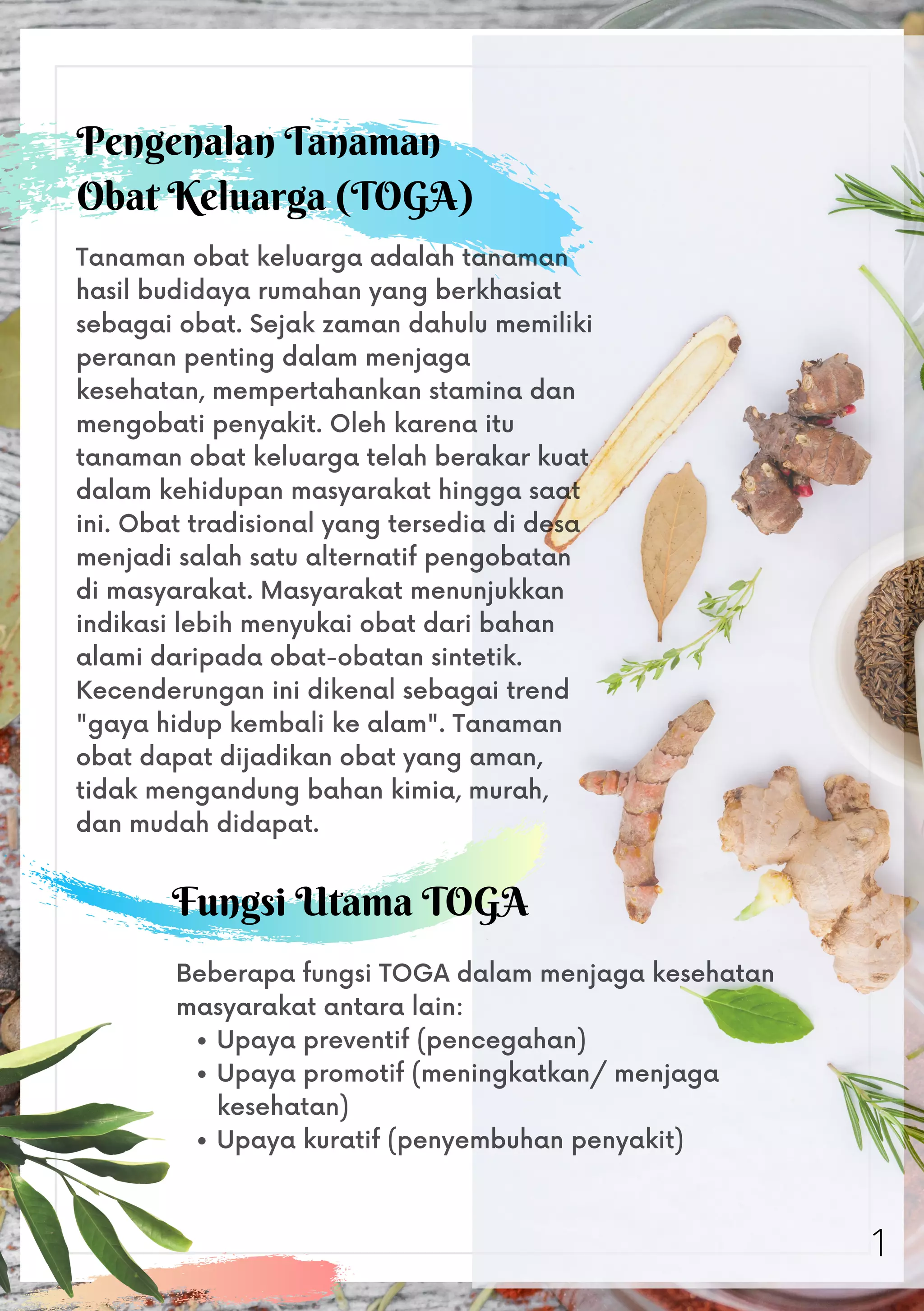 Tiwi tanaman obat keluarga (subunit 1 jatinom) | PDF