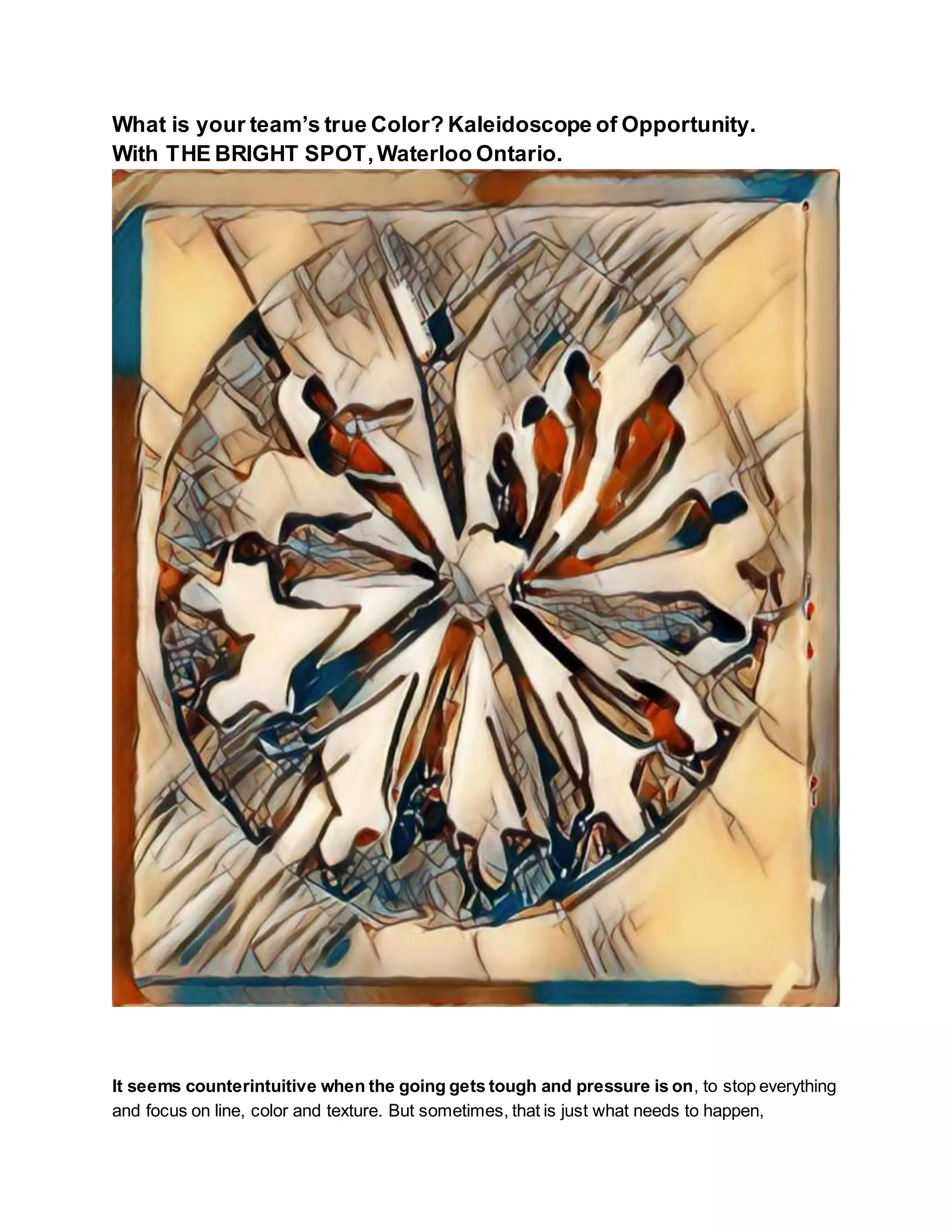 Mandala team vision and strategy | DOCX | Painting | Arts and Crafts