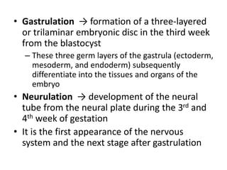 01_EMBRYOLOGY_-_The_Beginning.pptx