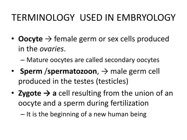 01_EMBRYOLOGY_-_The_Beginning.pptx