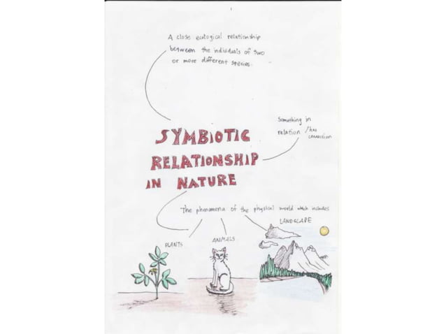 Symbiotic relationship in nature | PPT