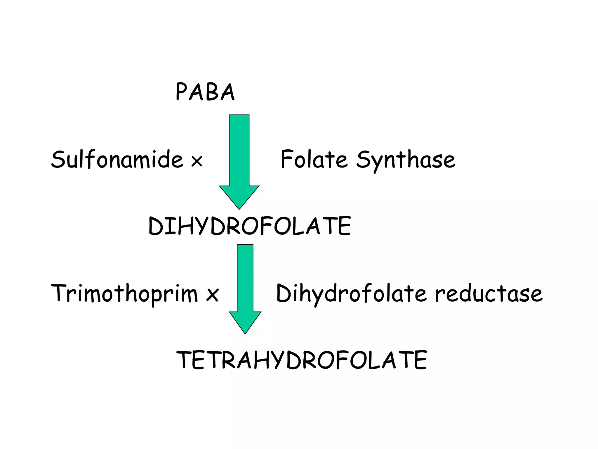 27.antimicrobial drugs | PPTX