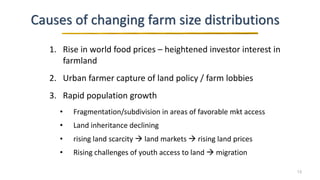 Changing farm structure and rural transformation in Africa | PDF