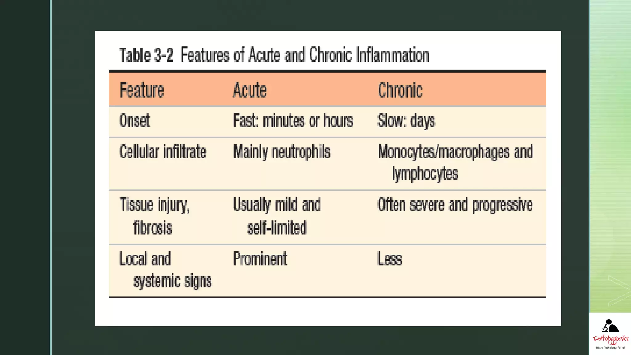 Ch 3 inflammation and repair | PPTX