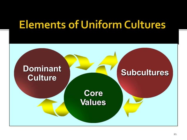 Organization Culture and Ethics | PPTX