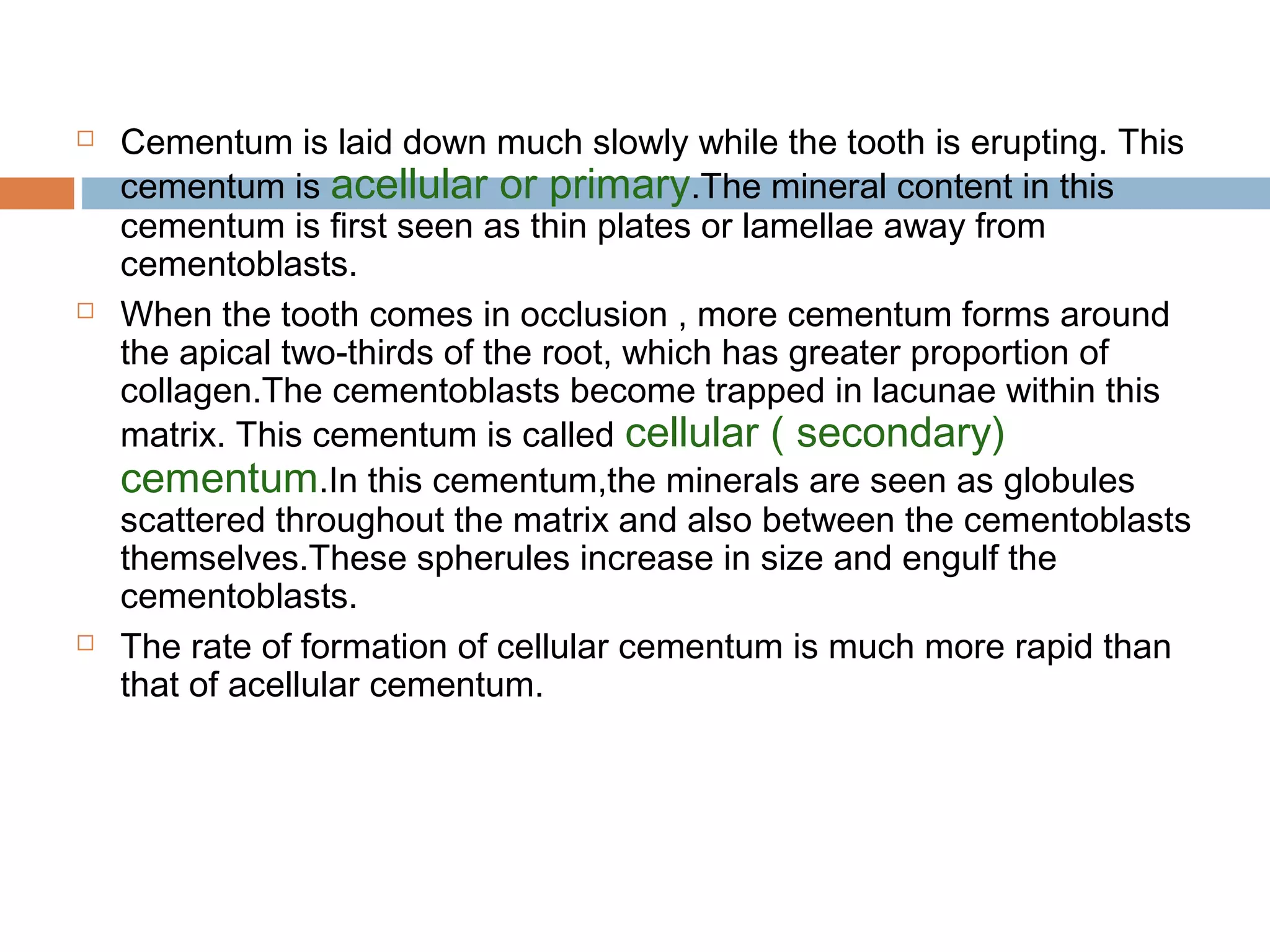 Cementum : An integral part of the Periodontium | PPT