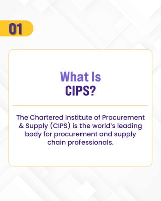 CIPS Explained – Is It the Right Choice for You? | PDF