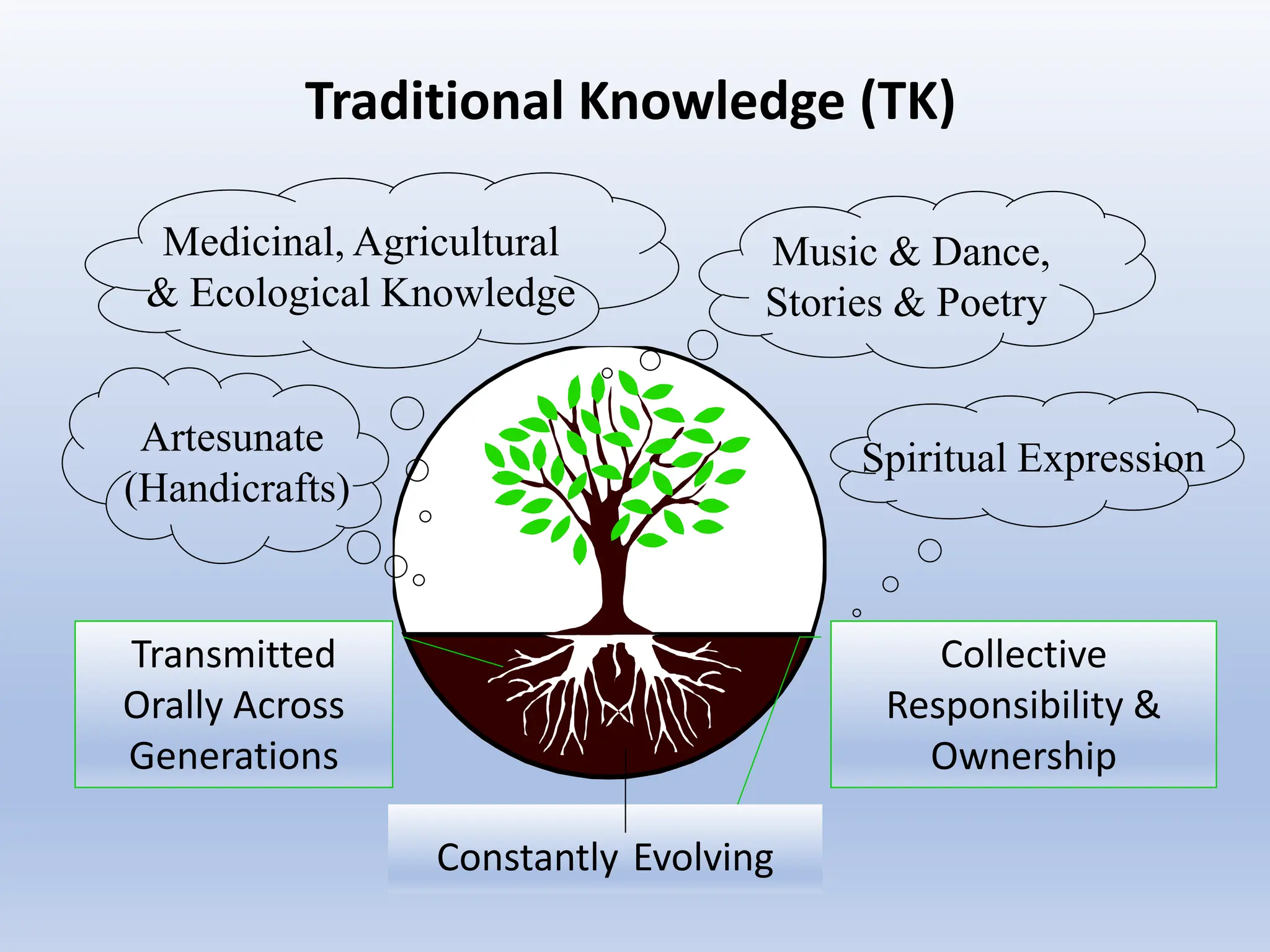 Traditional Knowledge (TK) and its Intellectual Property (IP) | PPT