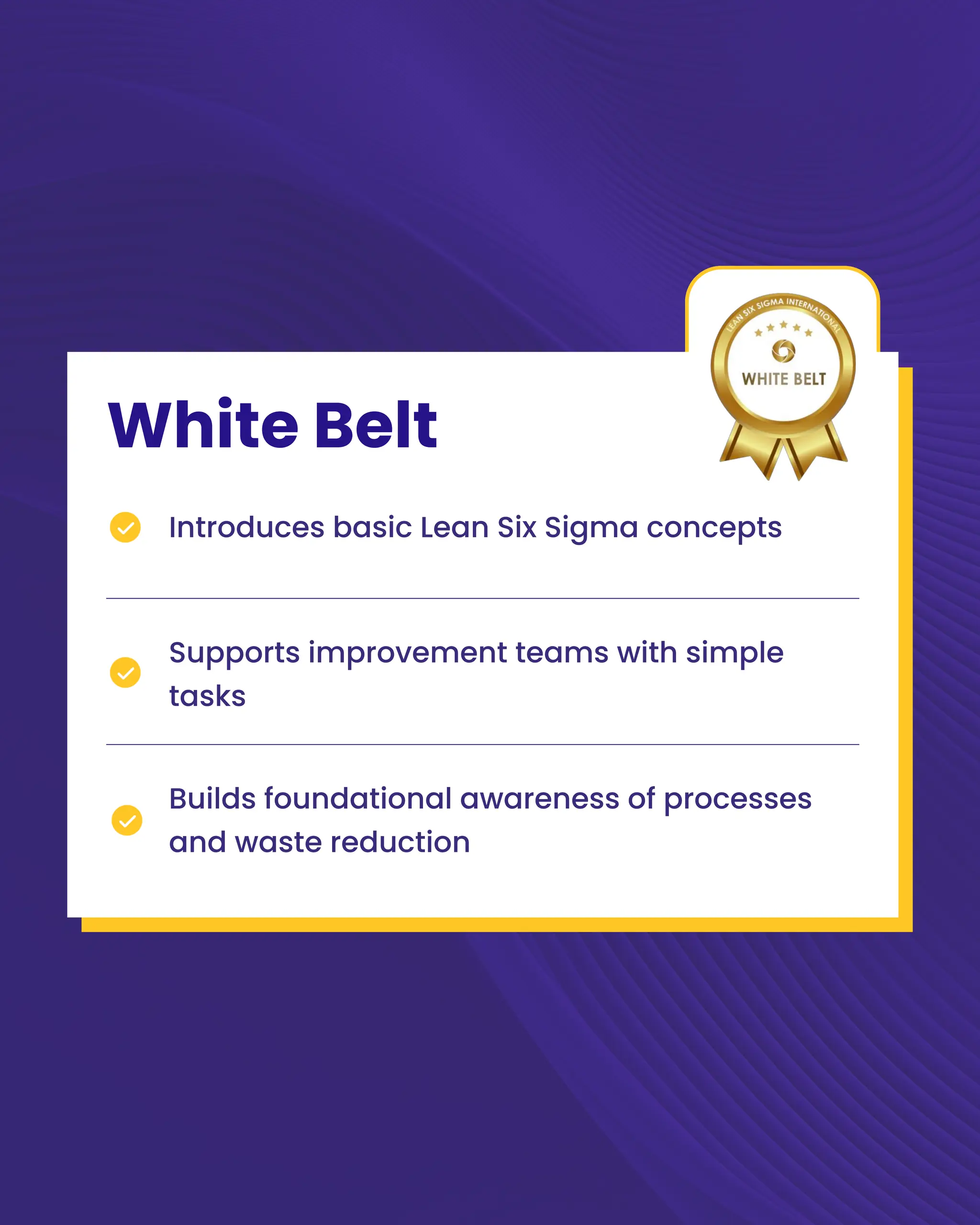 A Simple Breakdown of Lean Six Sigma Belt Levels | PDF