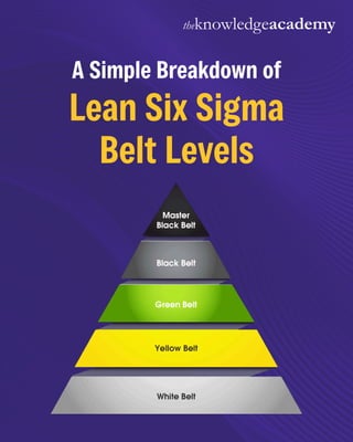 A Simple Breakdown of Lean Six Sigma Belt Levels | PDF