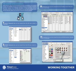 TimeKron - Time Keeping Software Brochure | PDF