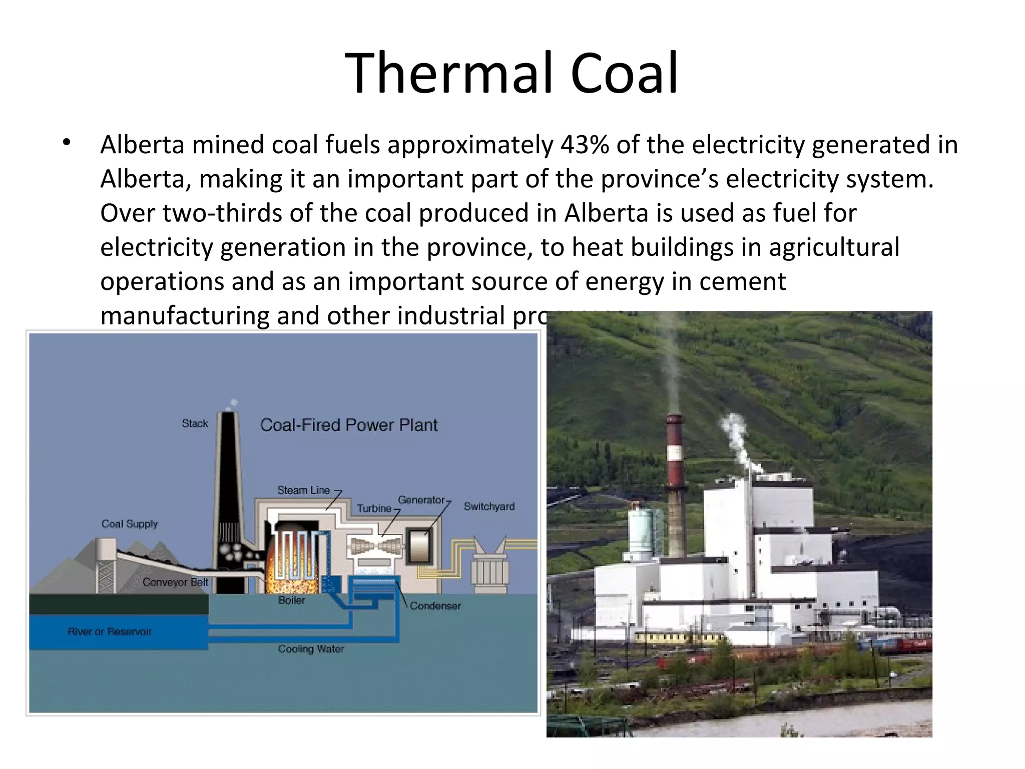 The Importance of Coal | PPT