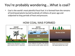 The Importance of Coal | PPT