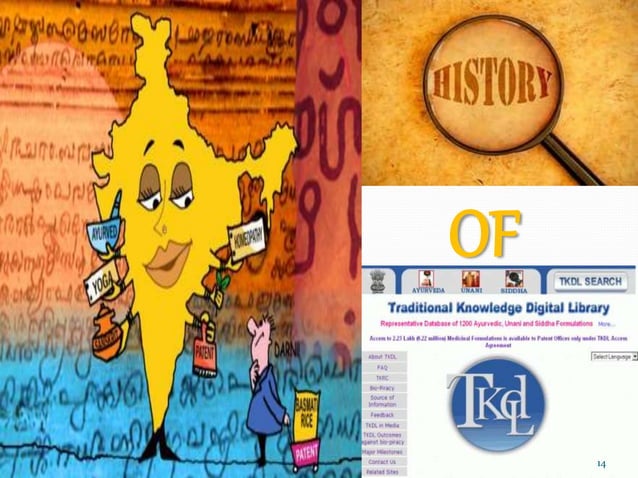 Traditional Knowledge Digital Library-TKDL | PDF | Databases | Computer ...