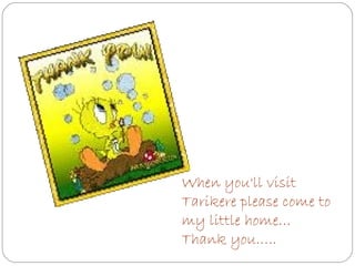 Tarikere: my native place | PPT