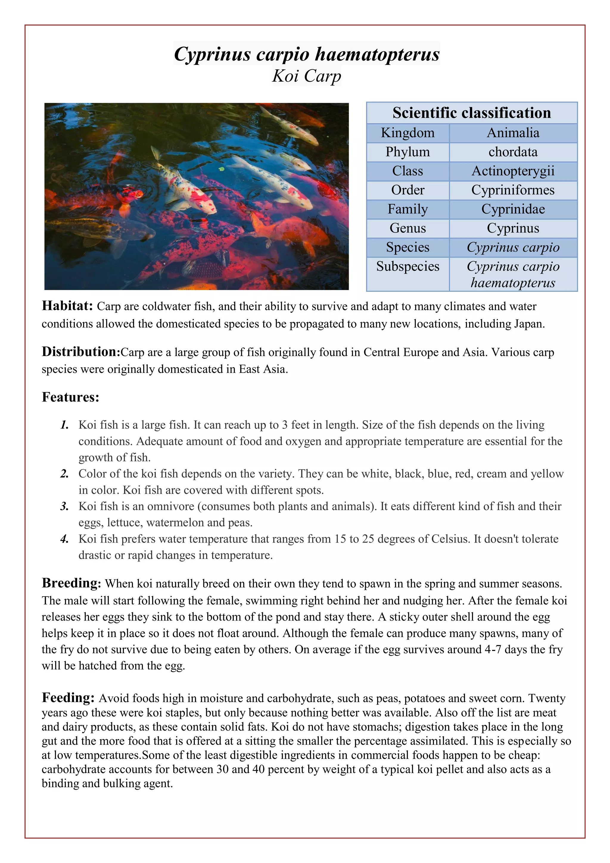 Ornamental fish booklet | PDF | Fish and Aquariums | Pets