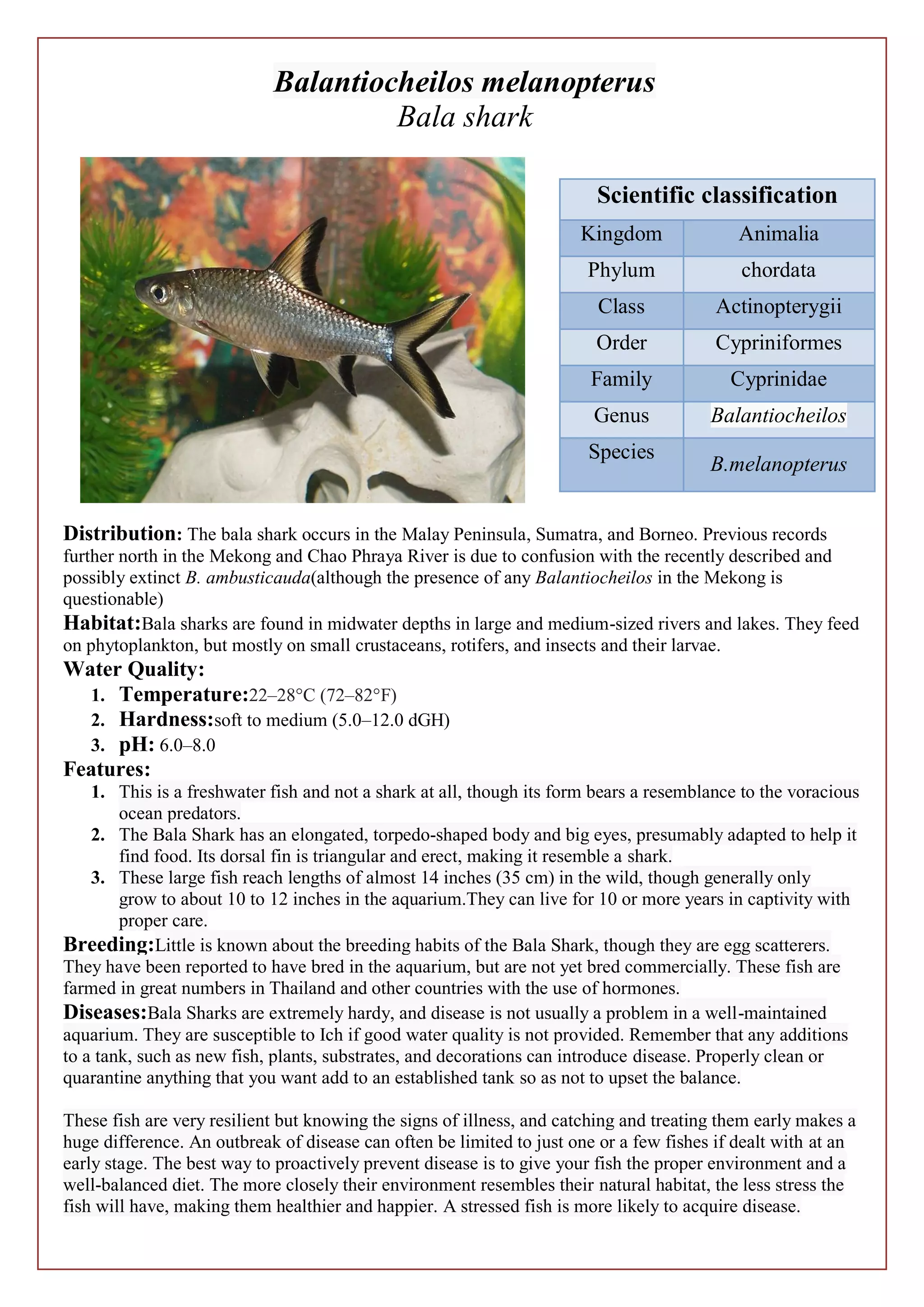 Ornamental fish booklet | PDF