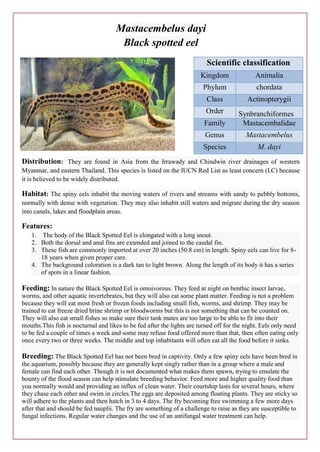 Ornamental fish booklet | PDF
