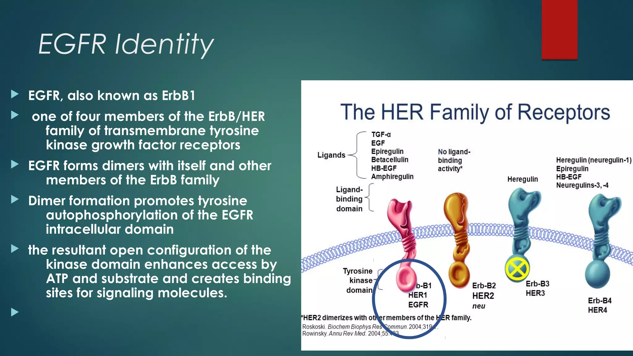 EGFR -TkI resistance pathways | ODP
