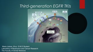 EGFR -TkI resistance pathways | ODP