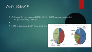 EGFR -TkI resistance pathways | ODP