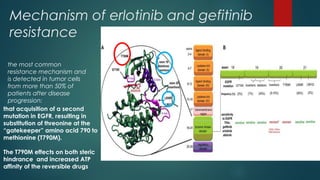 EGFR -TkI resistance pathways | ODP