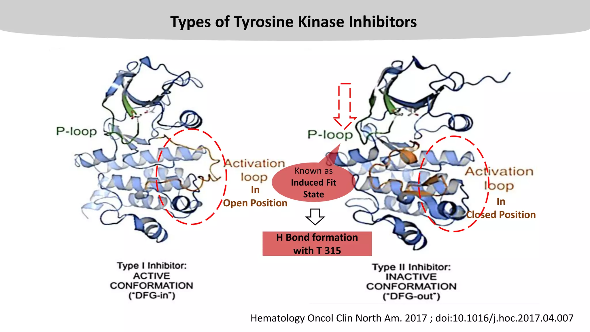 TKI Resistance Mechanisms in Chronic Myeloid Leukemia(CML) | PPTX